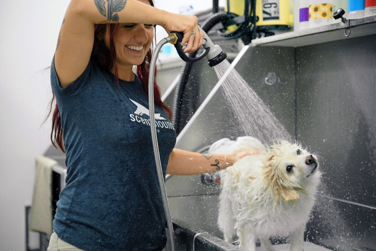 How To Bathe Your Dog: Step-by-Step Guide & Helpful Tips | 2025