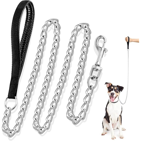 Best Dog Chains 2025: Top Picks For Safety And Style
